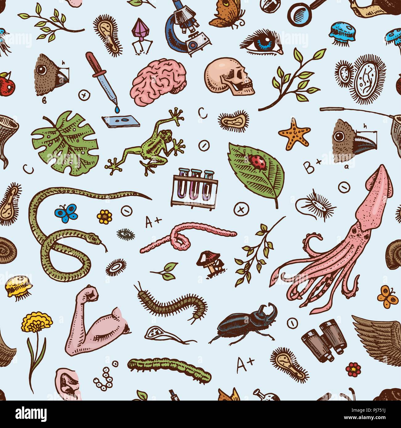 Science seamless pattern. Scientific laboratory in Biology. Icon Set of ...