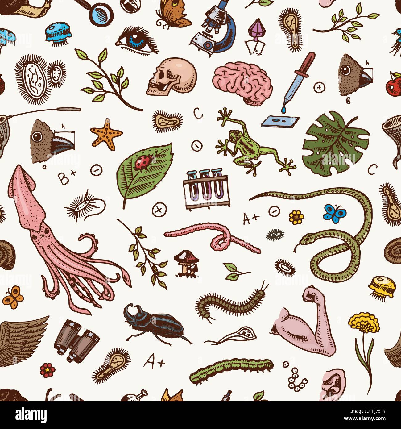 Science seamless pattern. Scientific laboratory in Biology. Icon Set of ...