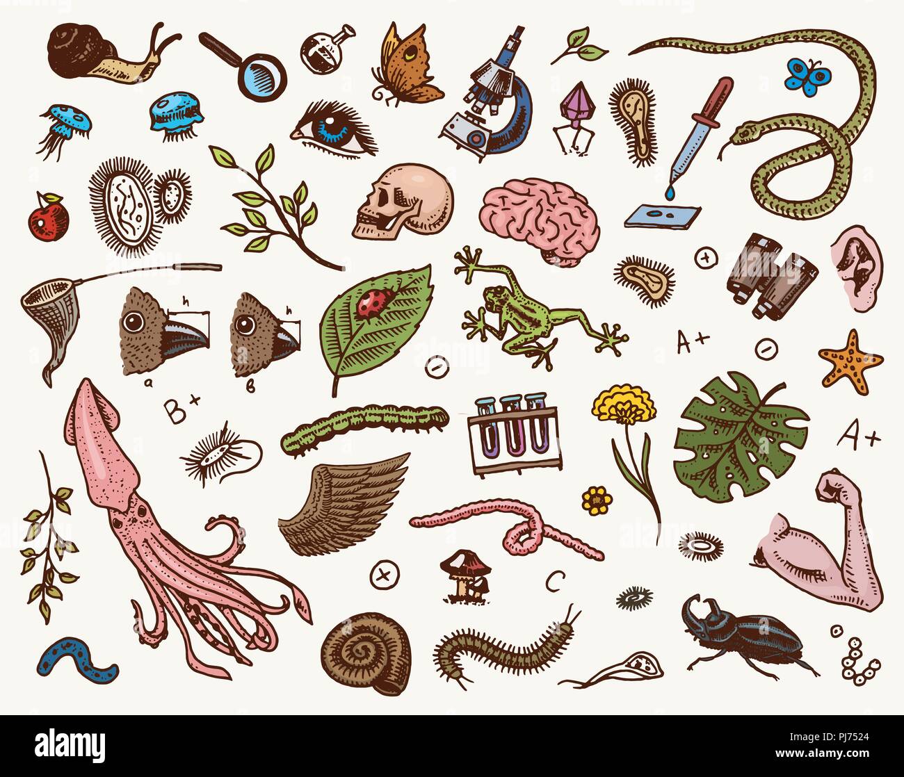 Scientific laboratory in Biology. Icon Set of Biochemistry Research ...