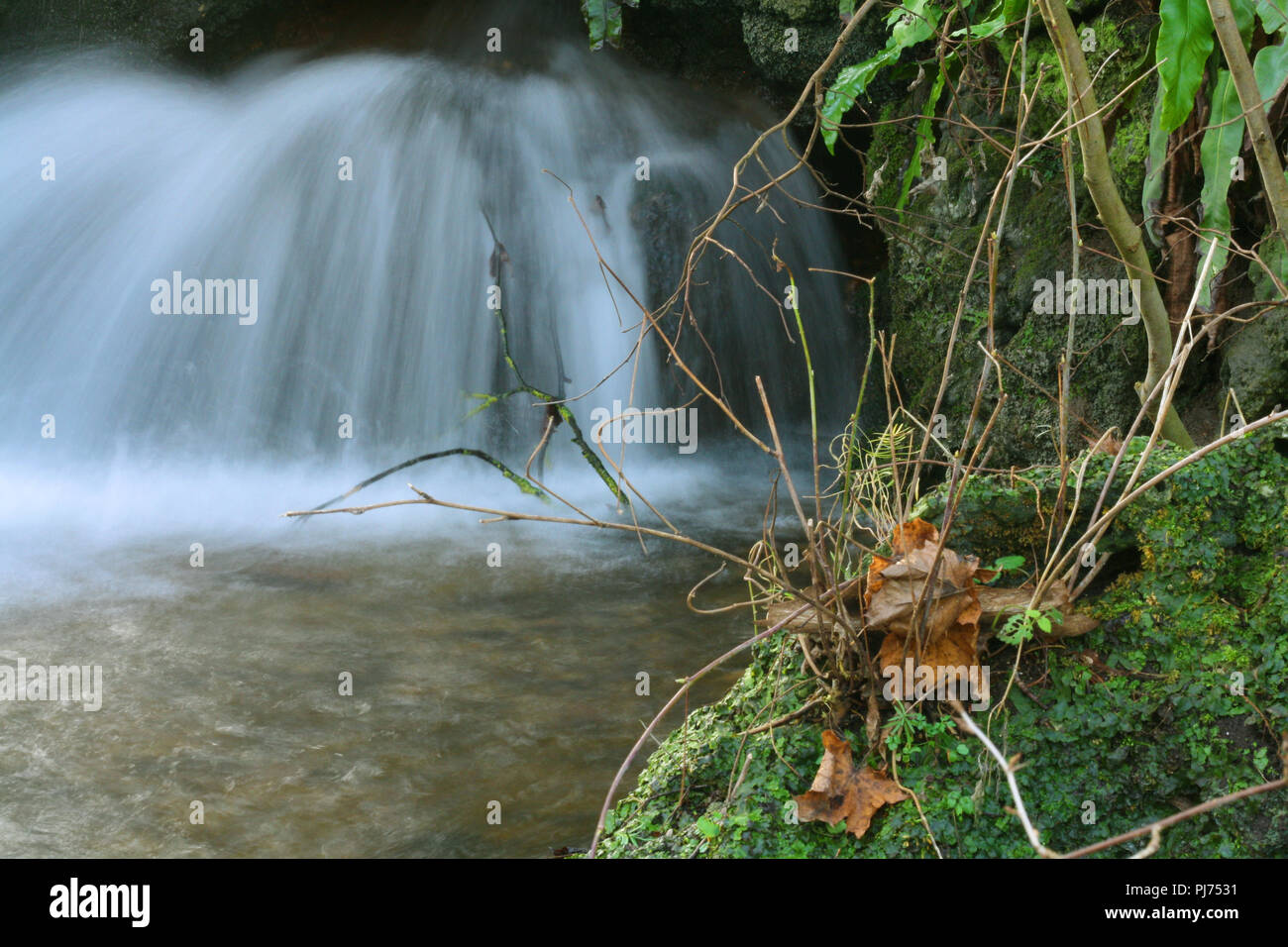 fresh running water in springtime Stock Photo - Alamy