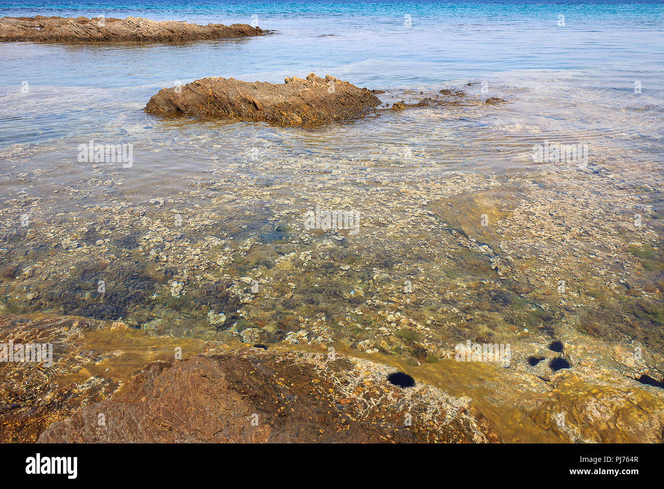 Calm translucent turquoise sea, beautiful rocky reef and underwater sea ...
