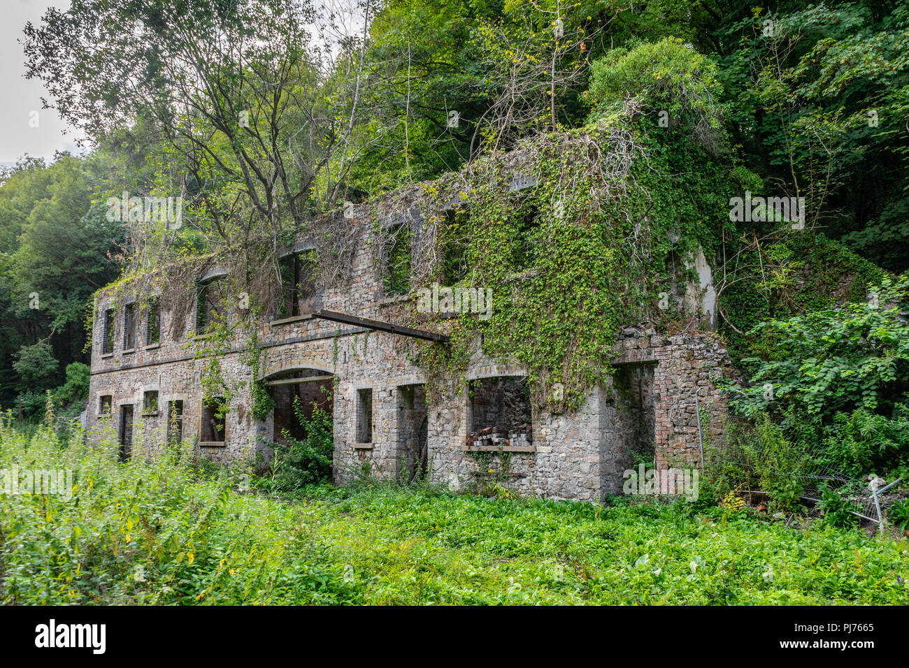The abandoned remains of the Fussell's Lower Iron Works in the so ...