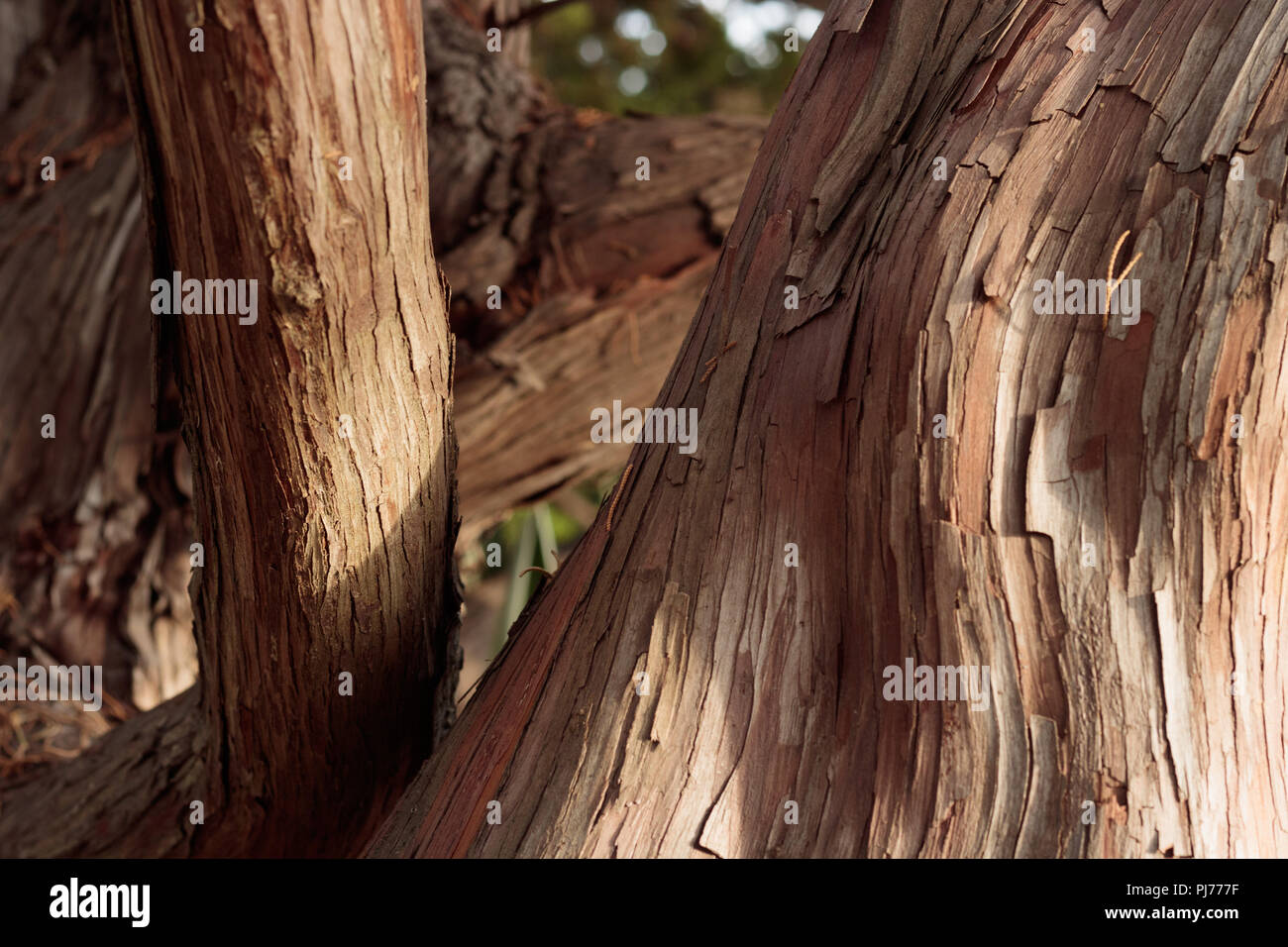 Rough and smooth textures hi-res stock photography and images - Alamy