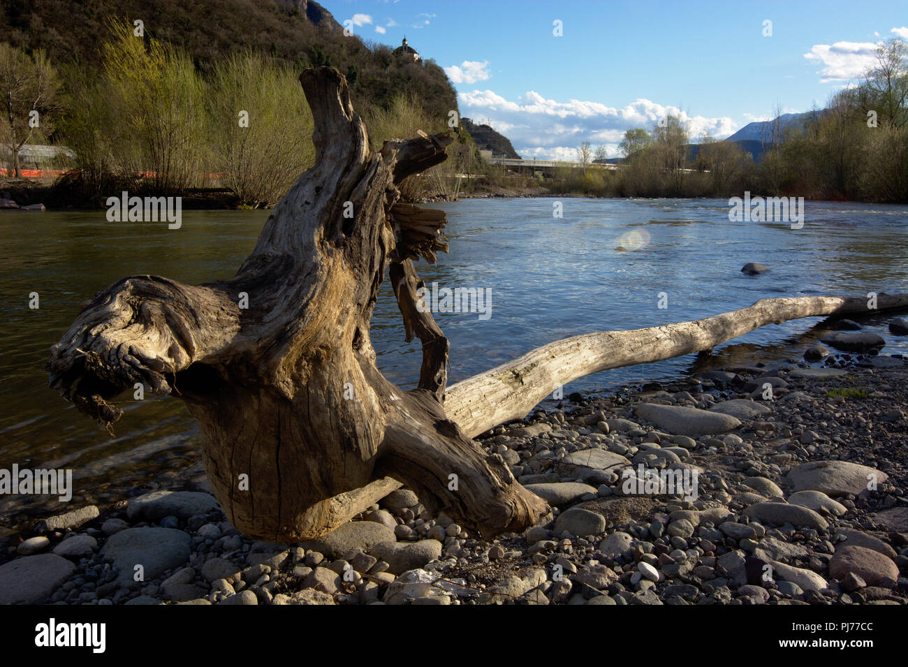 View river floating trunks hi-res stock photography and images - Alamy