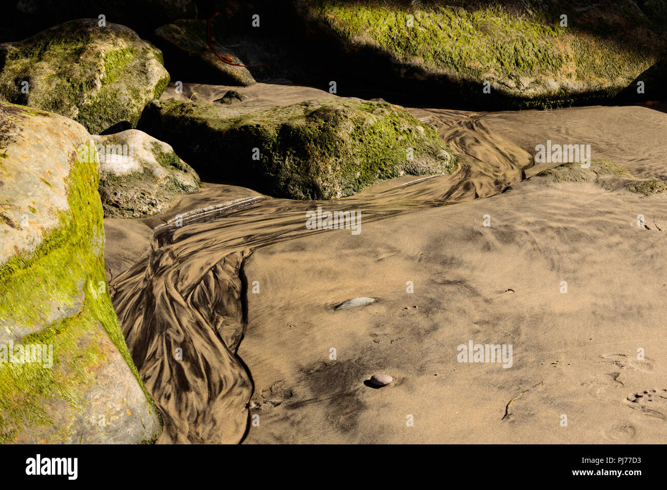 Patterns in silt water black silt sand patterns, elegant, complex ...