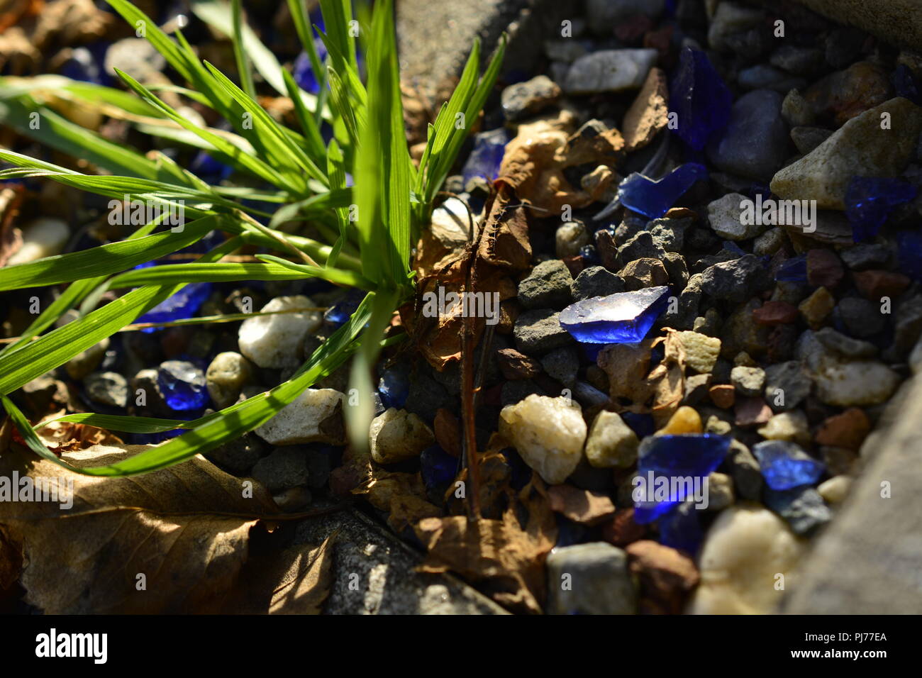 Glass pebbles in grass hi-res stock photography and images - Alamy