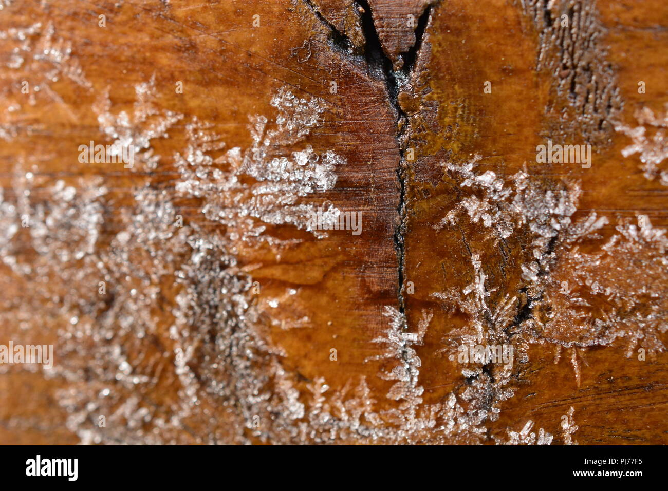 ice crystals growing up on a wooden plank in light brown Stock Photo ...