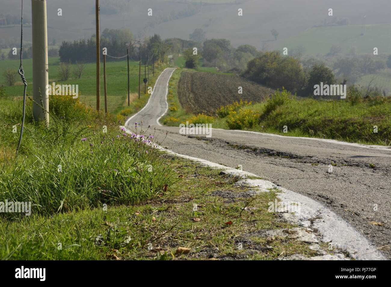 old damaged steep road in the italian countryside Stock Photo - Alamy