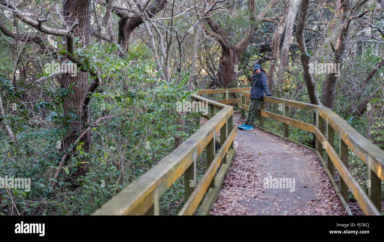 Woman leaning against rail on boardwalk in marshland preserve Stock ...