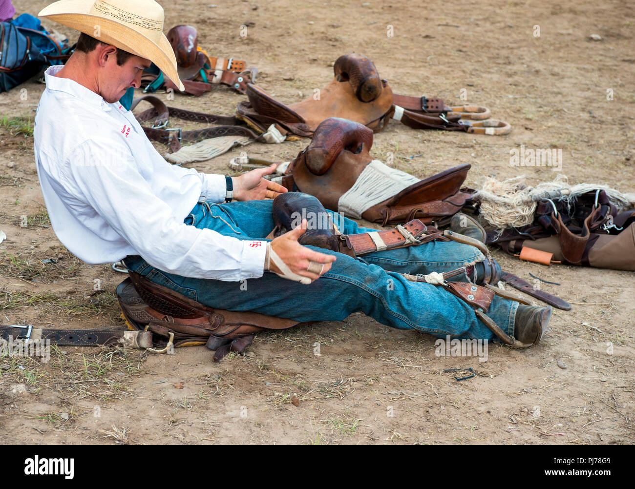 Saddle Bronc cowboy gearing up for Texas rodeo USA Stock Photo - Alamy