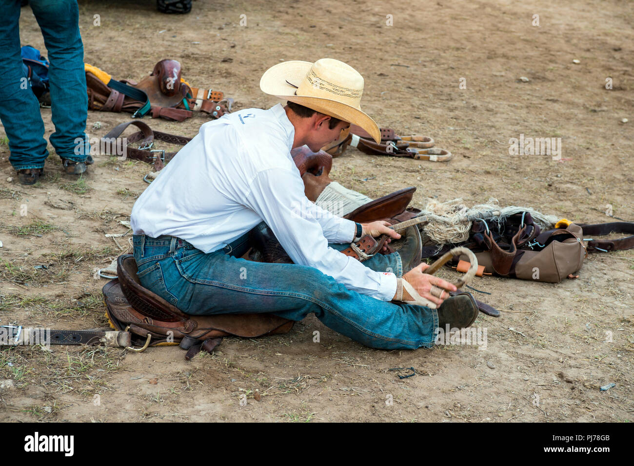 Saddle Bronc cowboy gearing up for Texas rodeo USA Stock Photo - Alamy