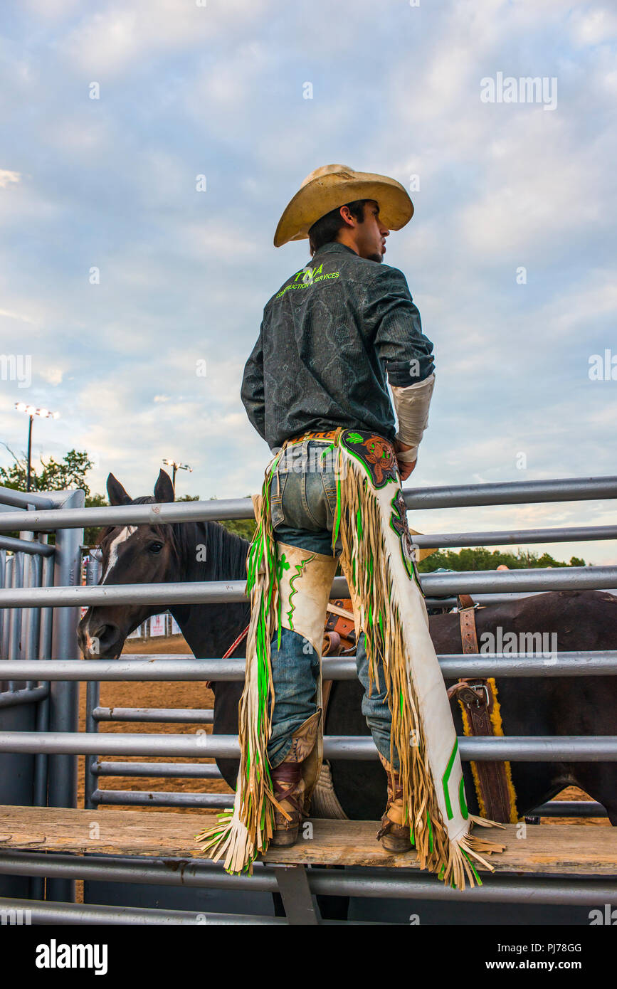Rodeo cowboy bareback rider Texas USA Stock Photo - Alamy