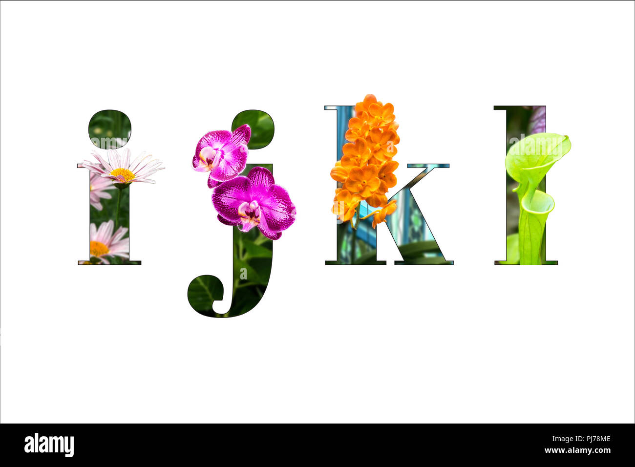 Alphabet floral hi-res stock photography and images - Alamy