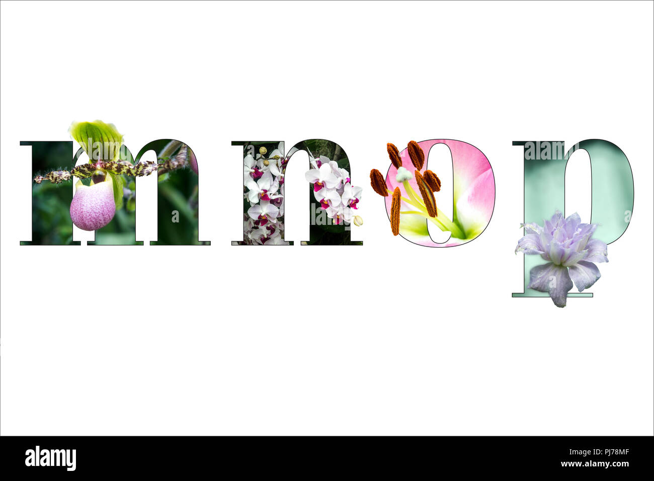 Alphabet floral hi-res stock photography and images - Alamy