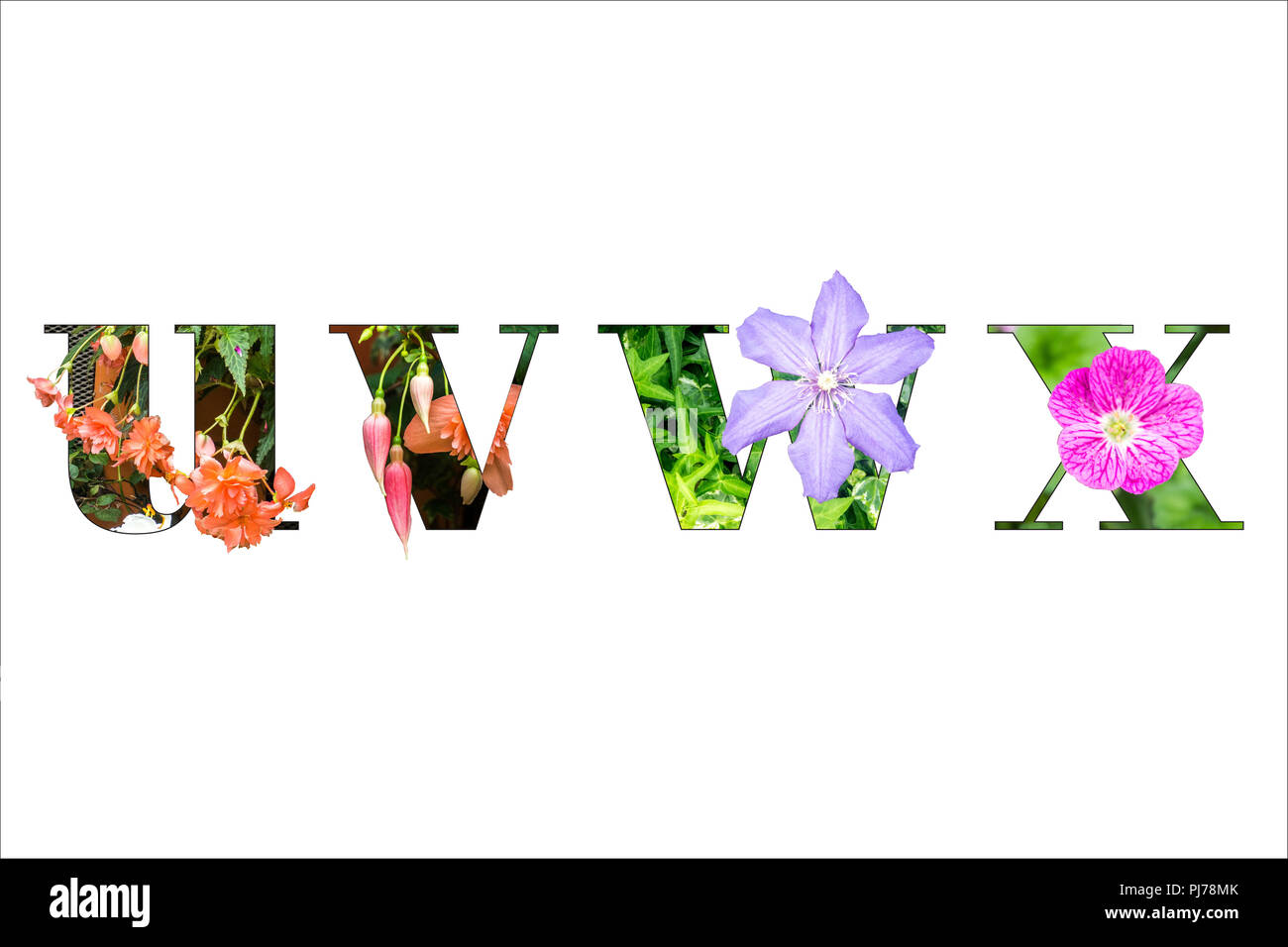 Alphabet floral hi-res stock photography and images - Alamy