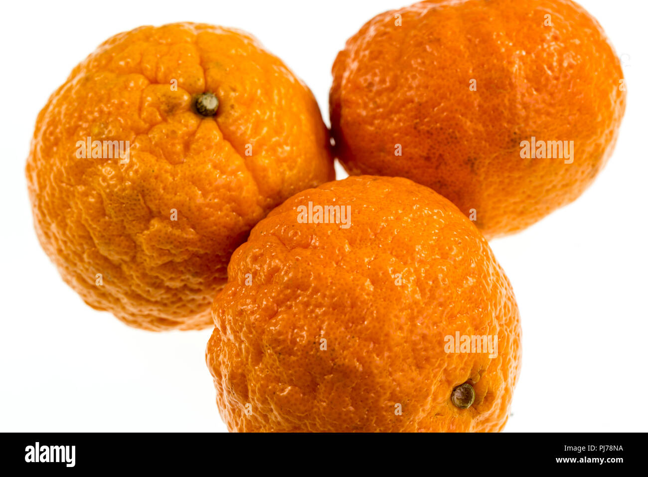 Gold nugget is a mandarin variety, medium in size, oblate in form with ...