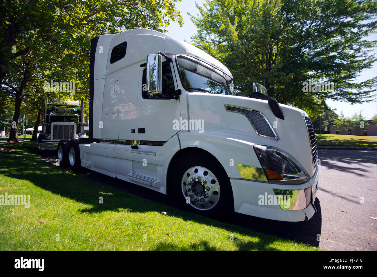 Big rigs semi trucks of different brands models and colors are lined up ...