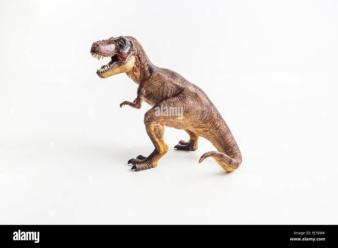 dinosaur , T-rex , Tyrannosaurus on white background Stock Photo - Alamy