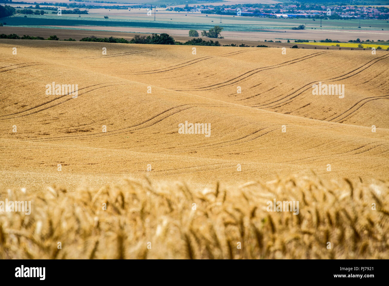 Moravian fields people hi-res stock photography and images - Alamy