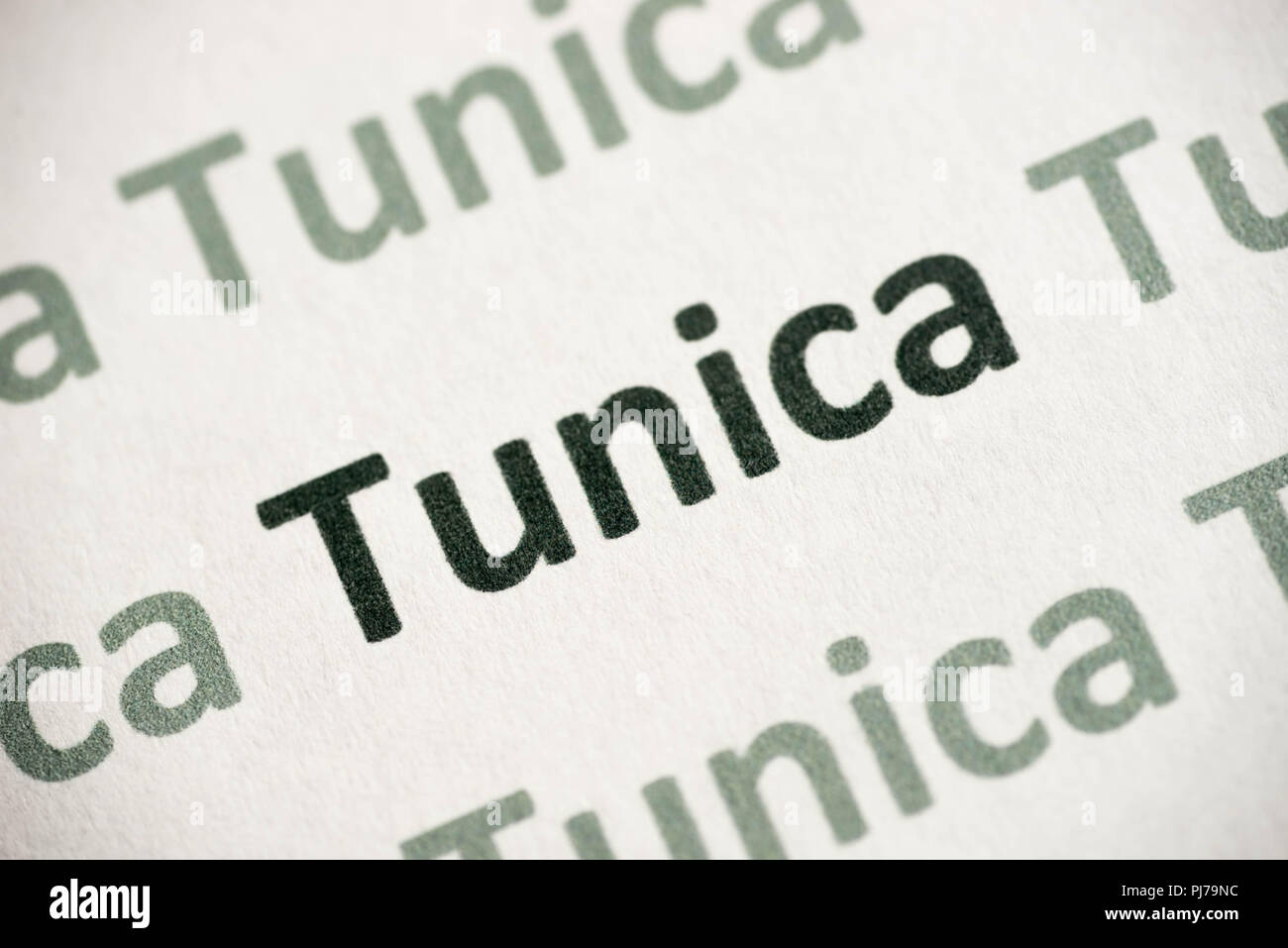 word Tunica language printed on white paper macro Stock Photo - Alamy