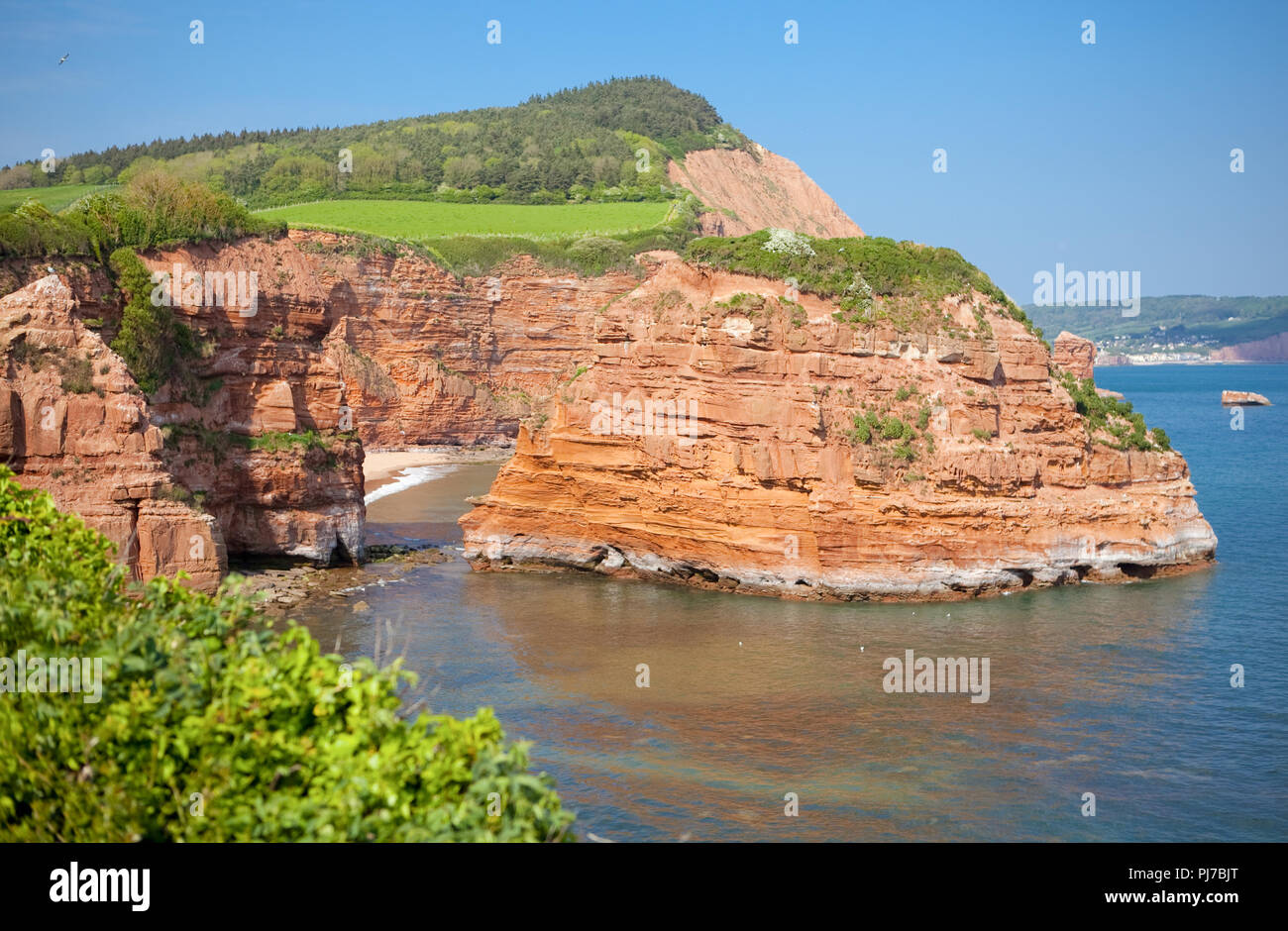 Sea stack devon hi-res stock photography and images - Alamy