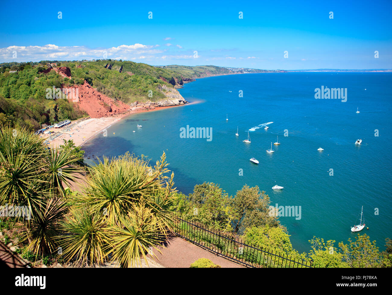 Babbacombe bay hi-res stock photography and images - Alamy