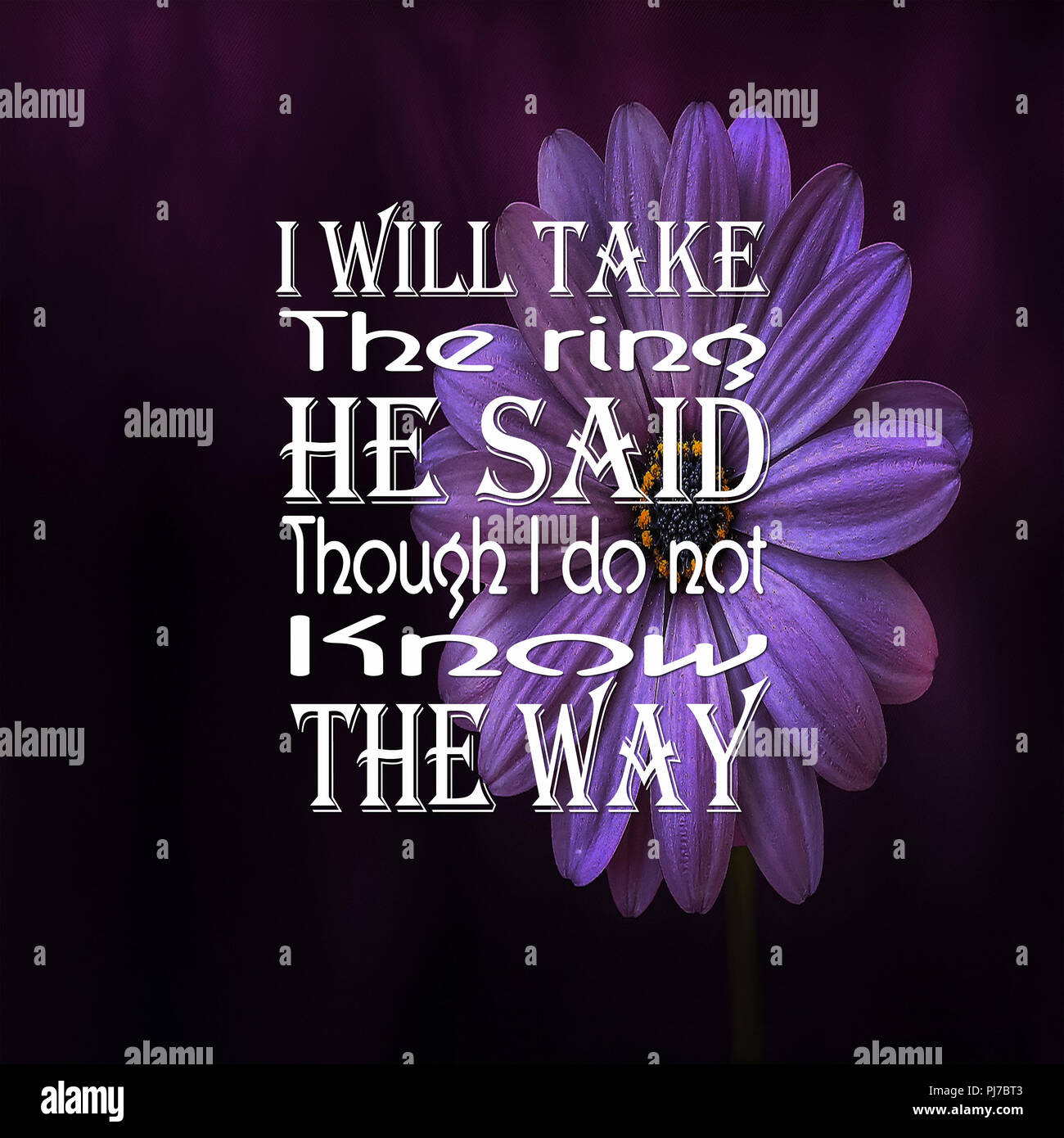 Powerful Quotes Stock Photos & Powerful Quotes Stock Images - Alamy