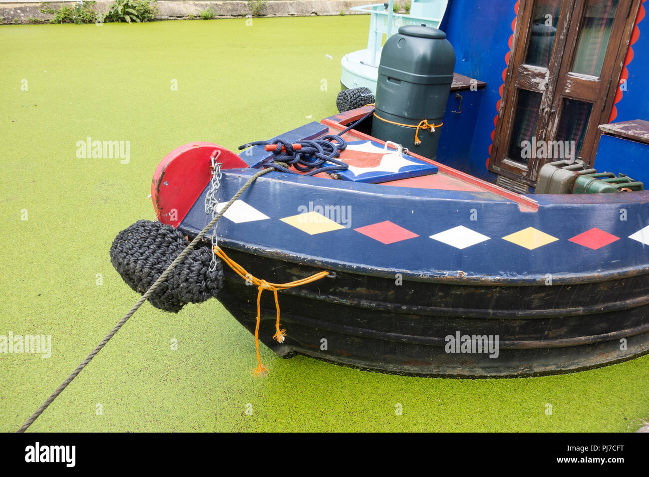 Hypertrophication High Resolution Stock Photography and Images - Alamy