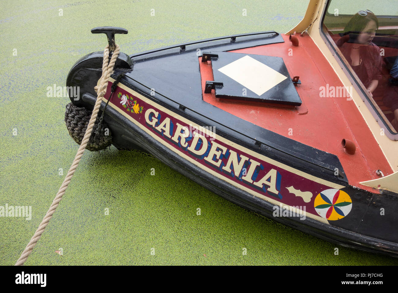 Hypertrophication High Resolution Stock Photography and Images - Alamy