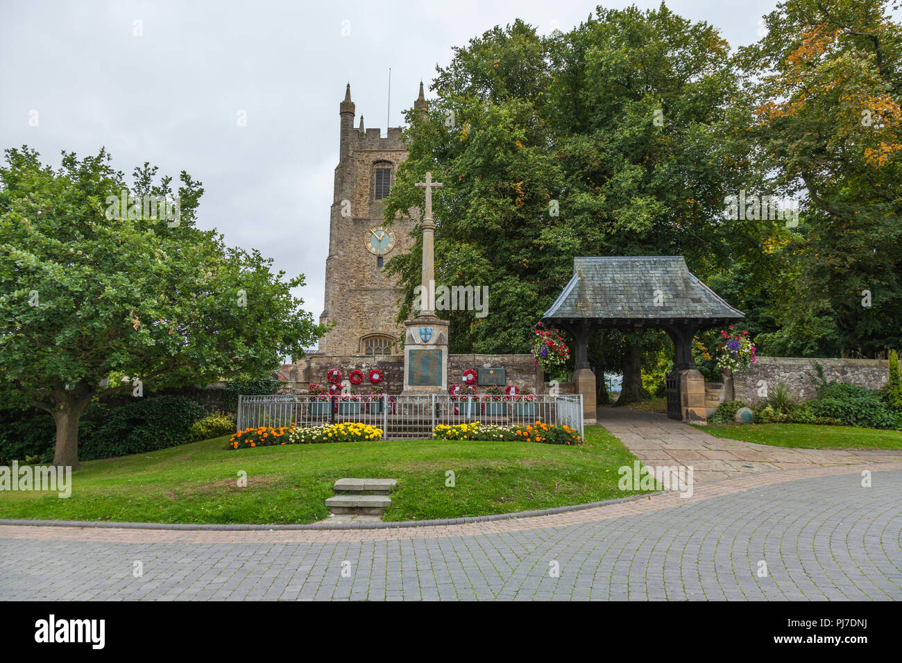 Sedgefield hi-res stock photography and images - Alamy