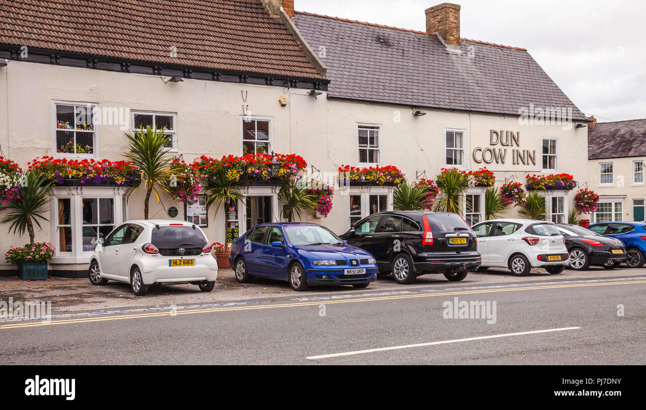 The dun cow hi-res stock photography and images - Alamy