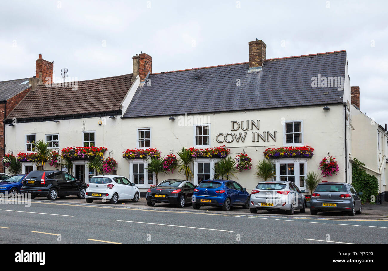 The Dun Cow Inn at Sedgefield,Co.Durham,England,UK Stock Photo - Alamy