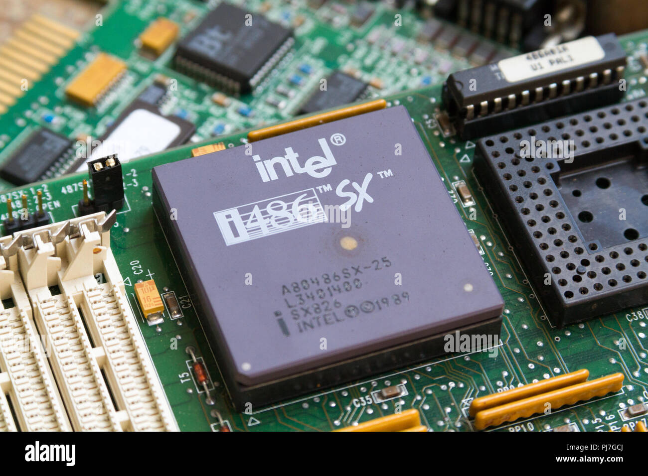 An Intel i486 SX (80486SX) processor (CPU) from 1989 in a socket on a ...