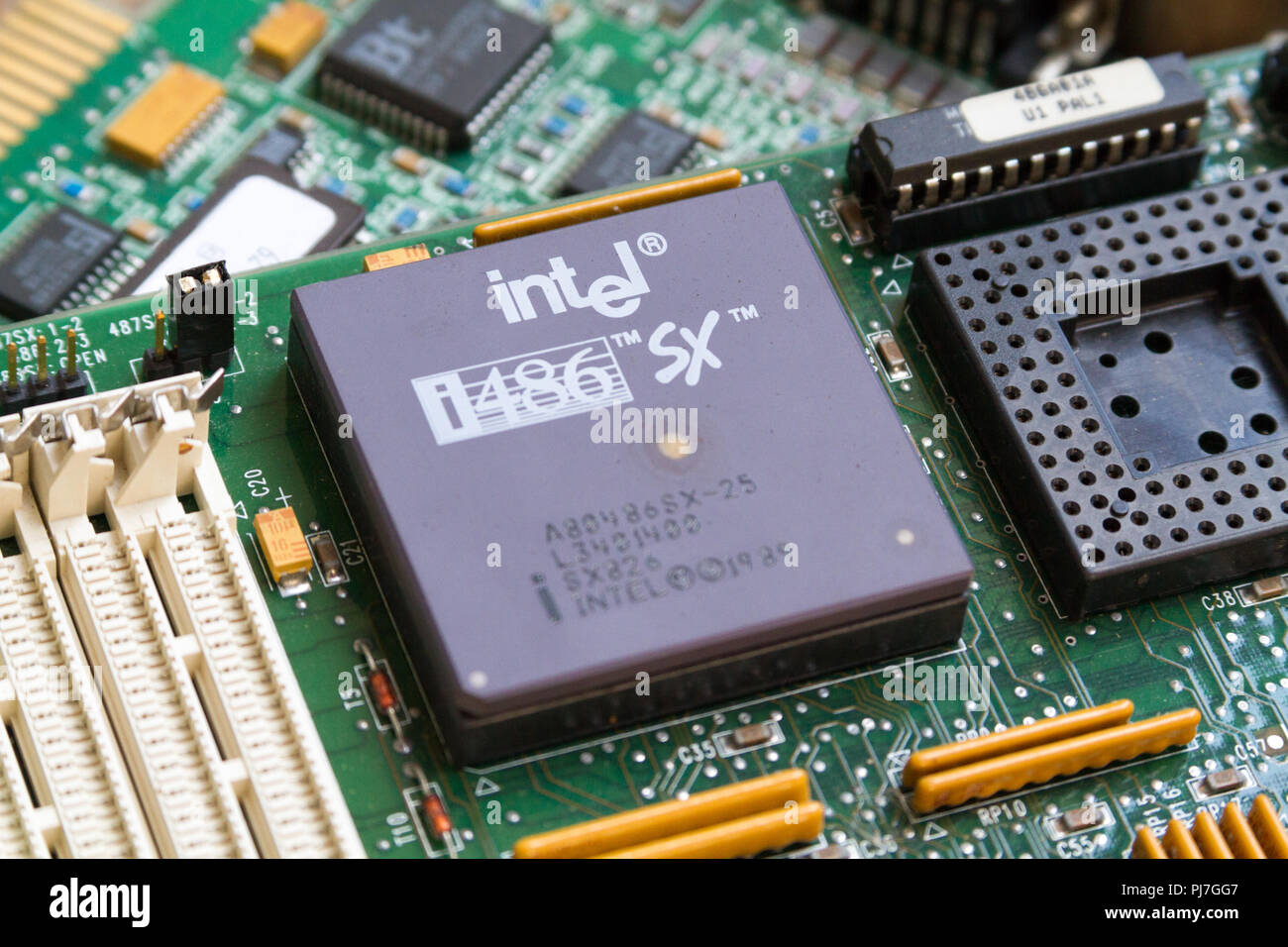 An Intel i486 SX (80486SX) processor (CPU) from 1989 in a socket on a ...