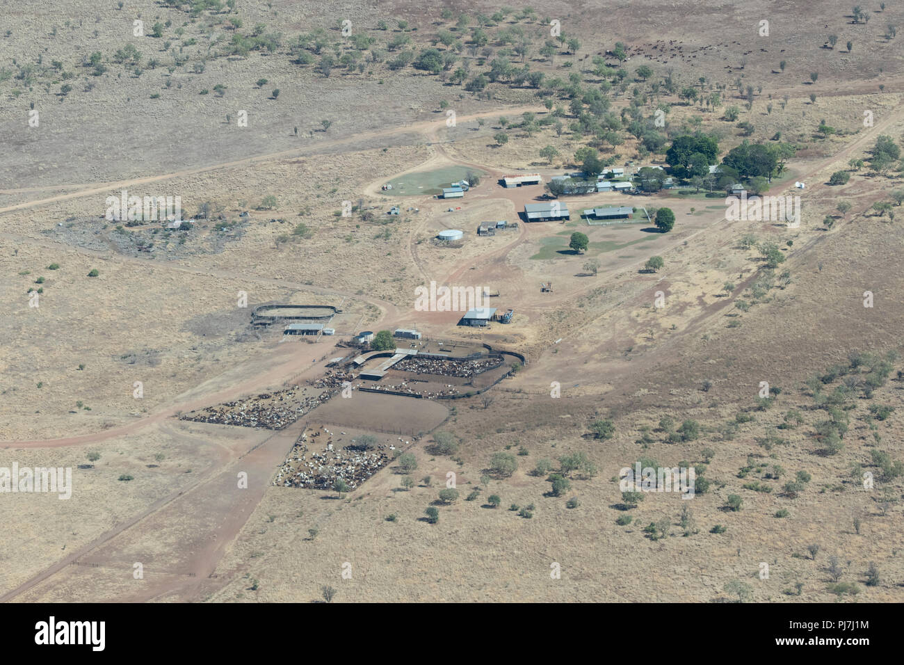 Cattle stations australia hi-res stock photography and images - Alamy