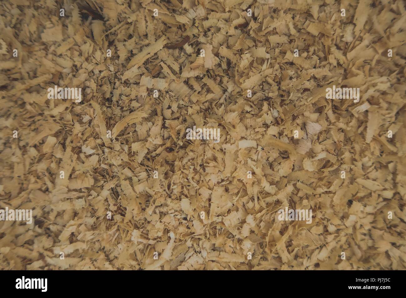 Wood Chip Texture Stock Photo - Alamy