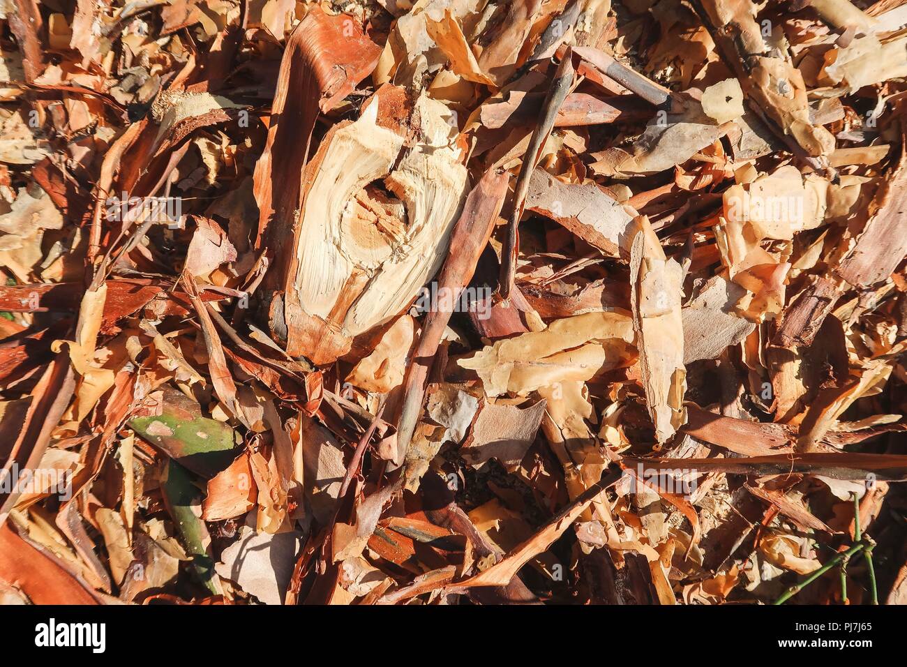 Wood Chip Texture Stock Photo - Alamy