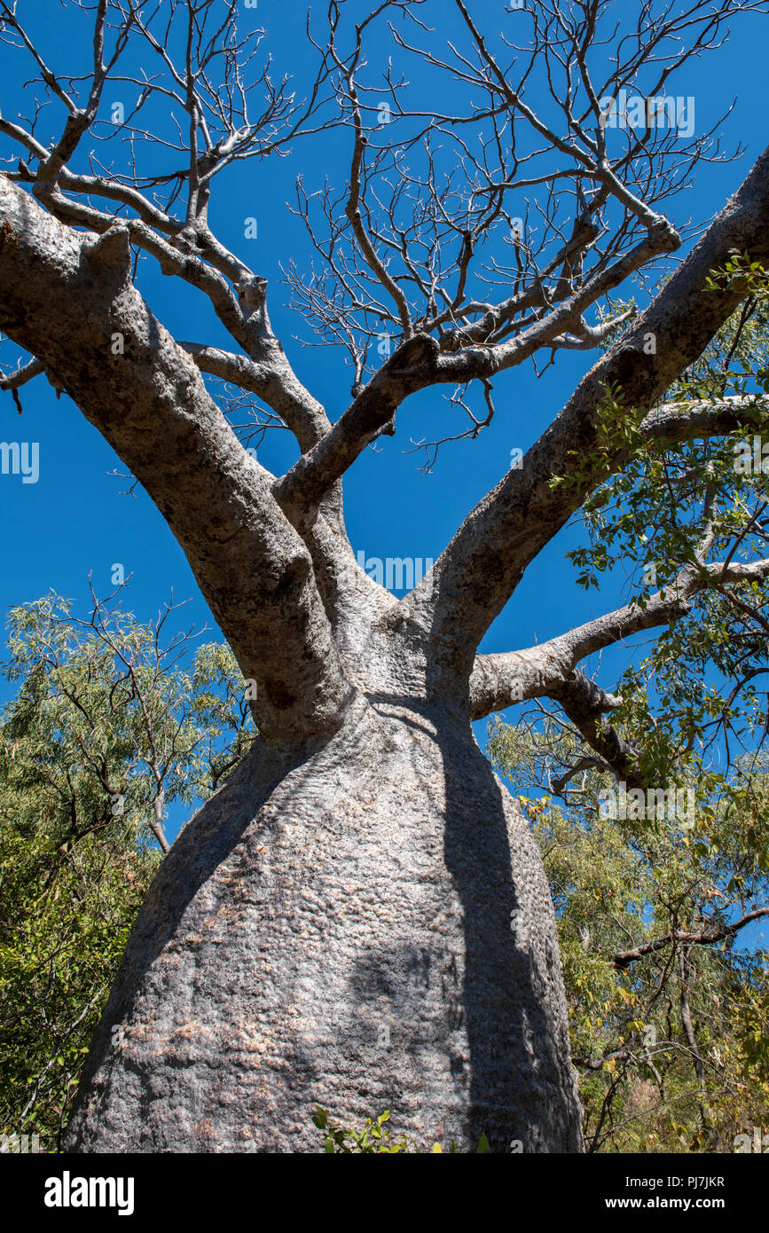 Australia, Western Australia, Doubtful Bay, Raft Point. Typical old ...