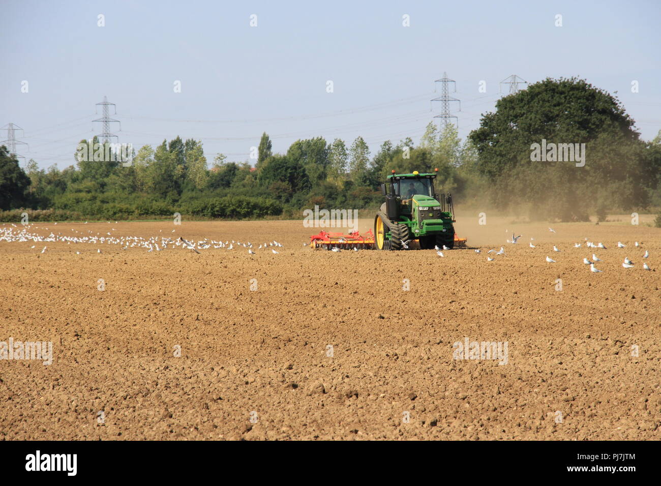 Attracting birds hi-res stock photography and images - Alamy
