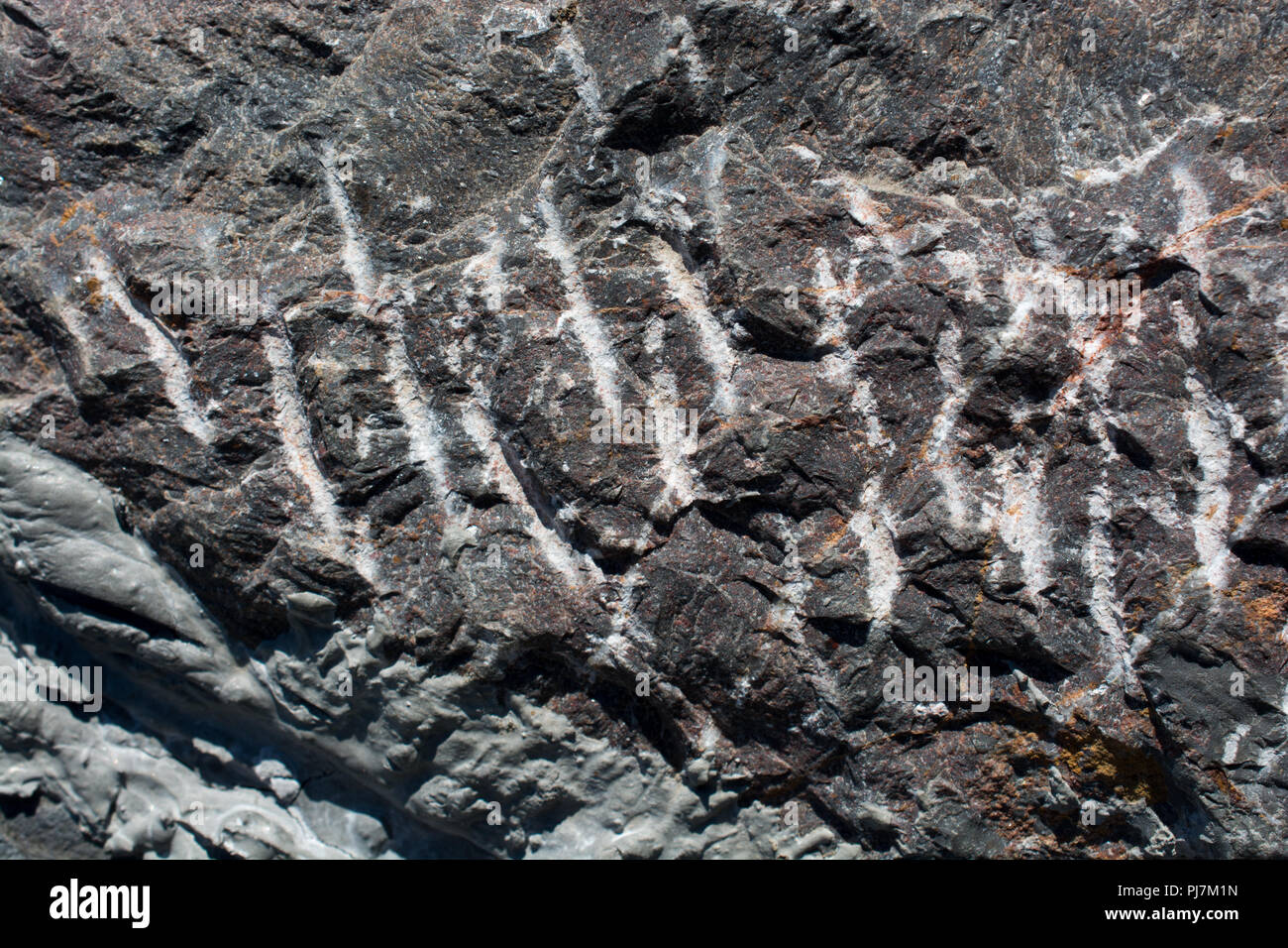 Backdrop and backgrounds texture details in abstract form Stock Photo ...