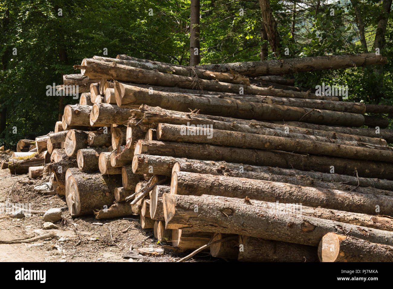 Heavy timber construction hi-res stock photography and images - Alamy