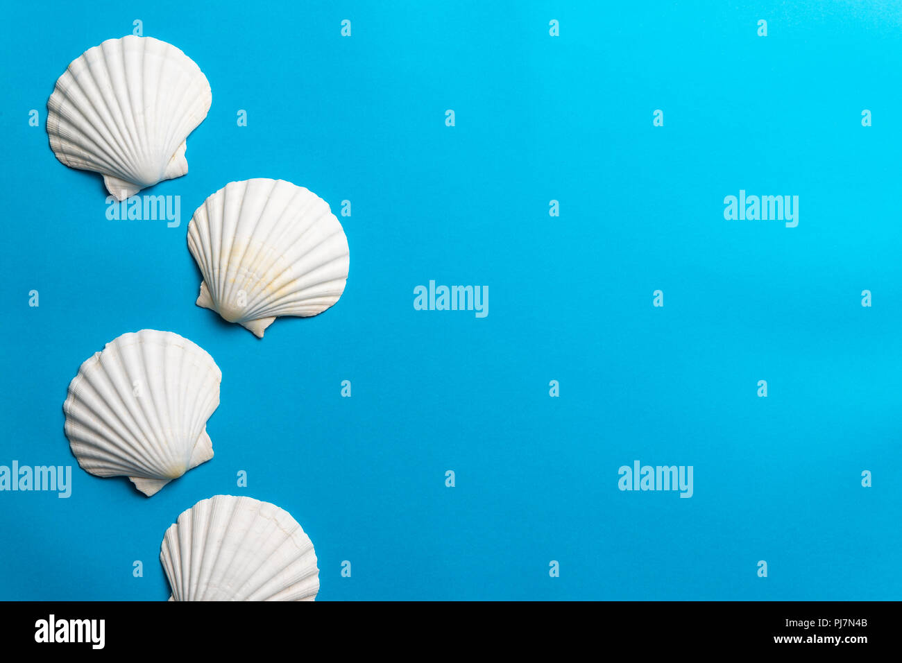 White shells hi-res stock photography and images - Alamy