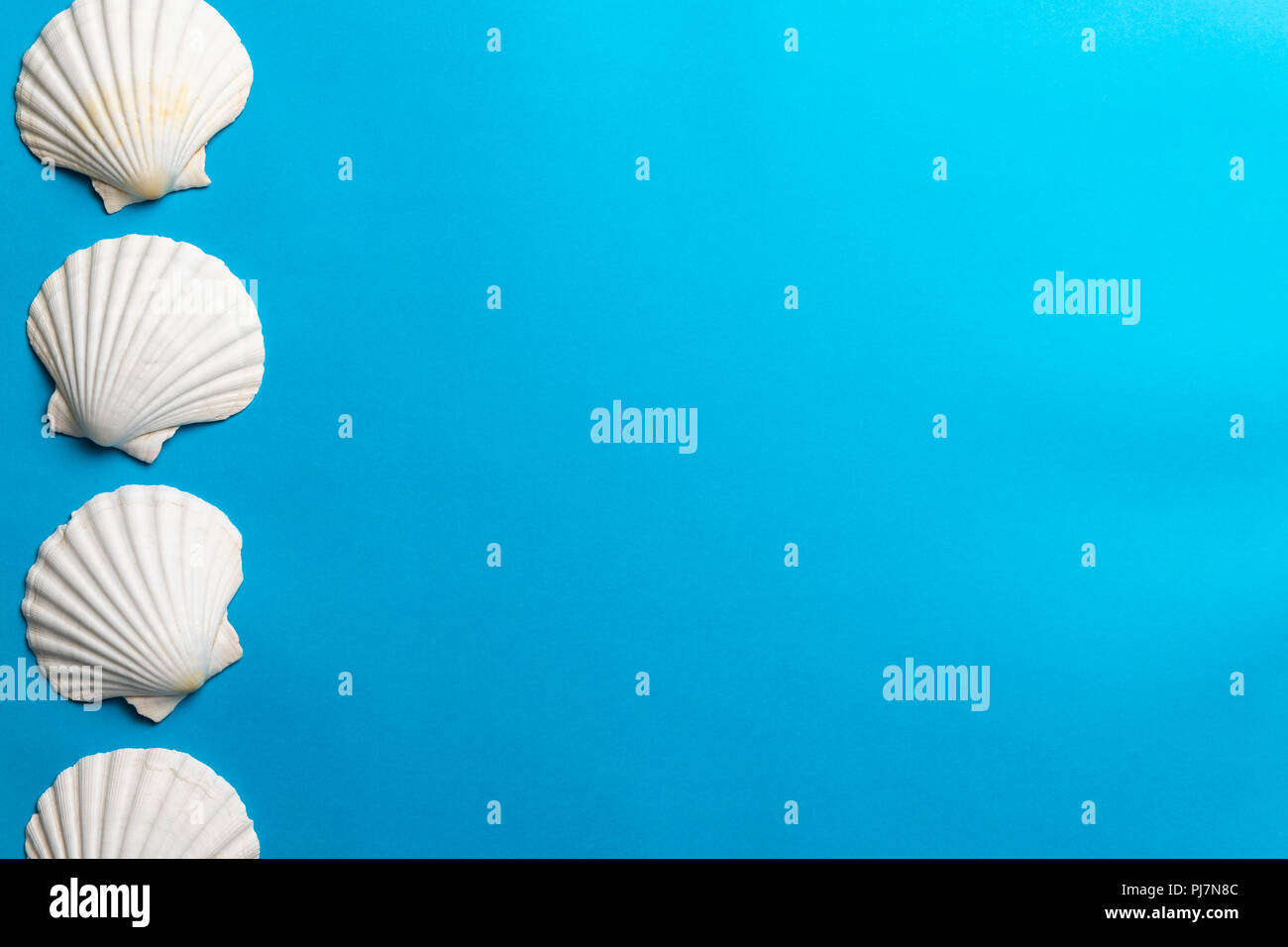 White shells hi-res stock photography and images - Alamy