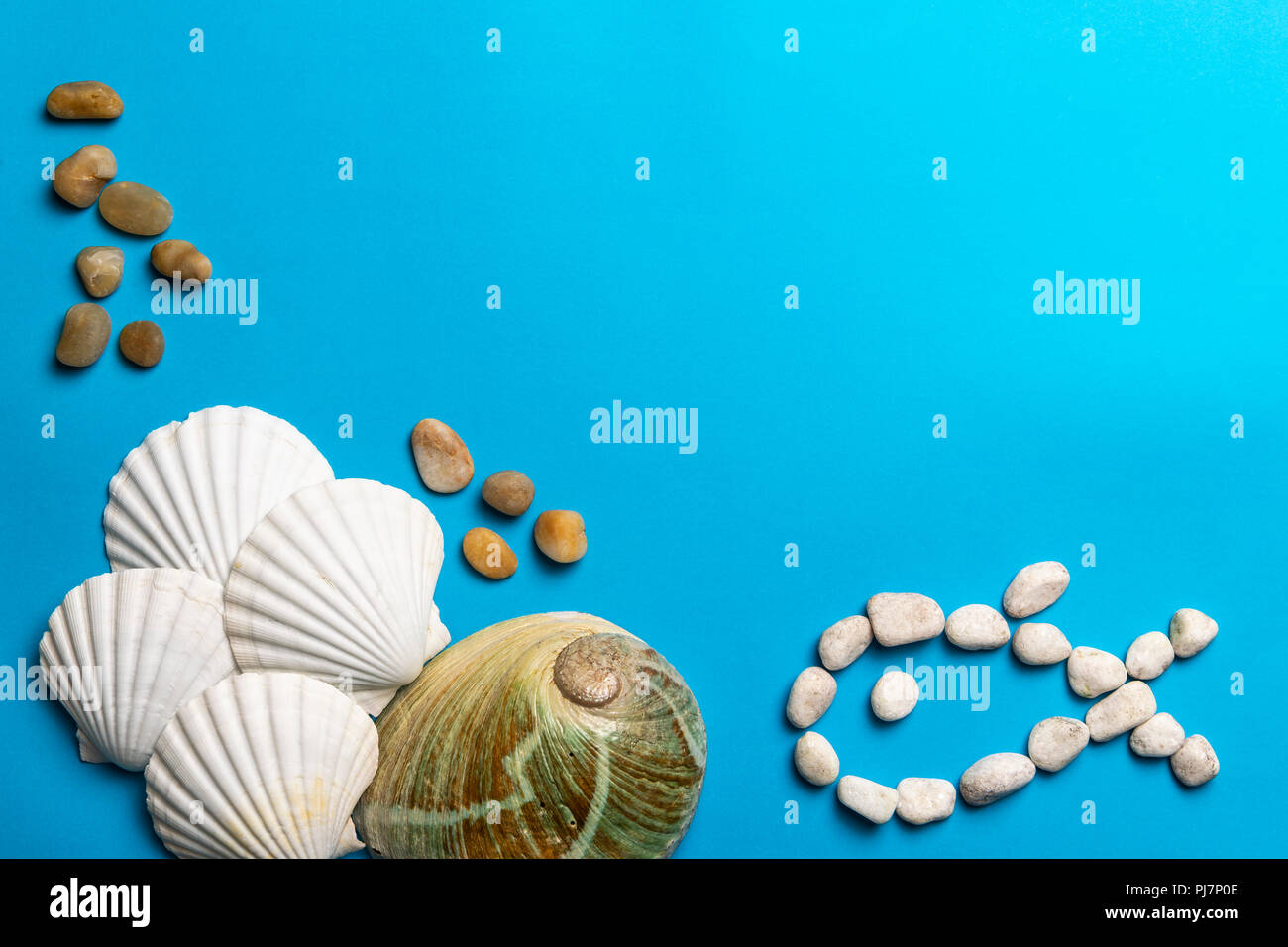 Close up photo of white shells, stones and abalone shell isolated on ...