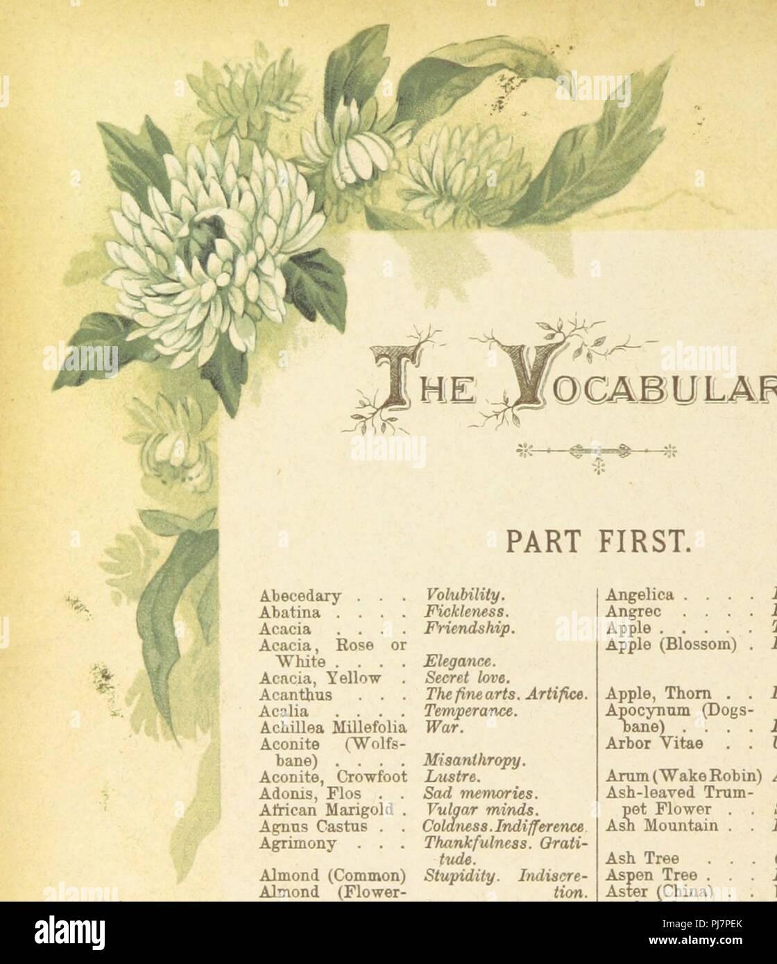 Artistic language flowers illustrations image hi-res stock photography ...