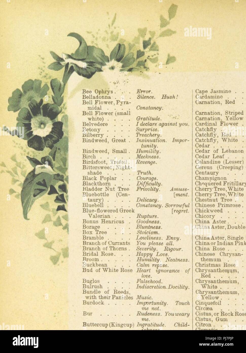 Artistic language flowers illustrations image hi-res stock photography ...