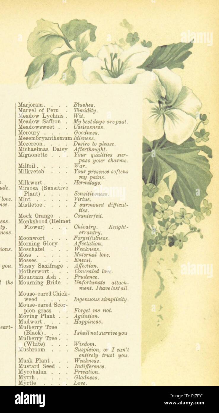 Artistic language flowers illustrations image hi-res stock photography ...