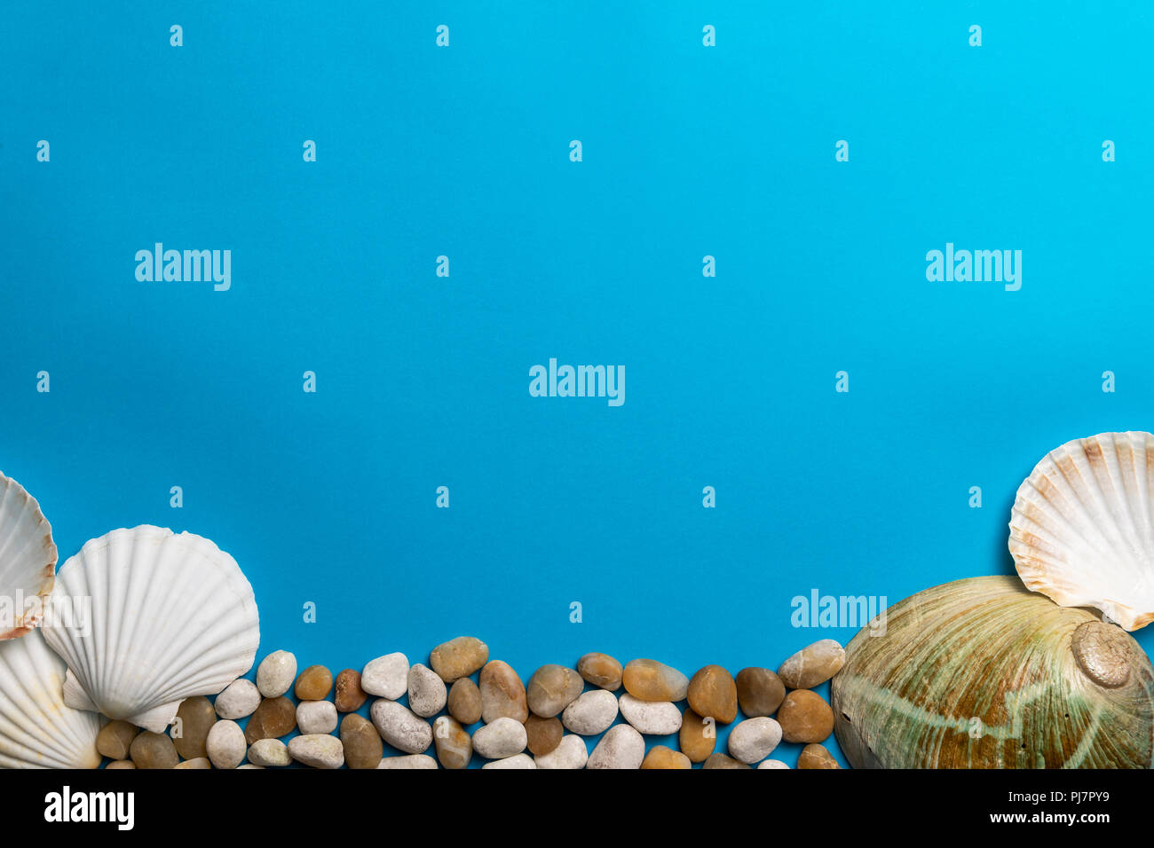 Abalone shells hi-res stock photography and images - Alamy