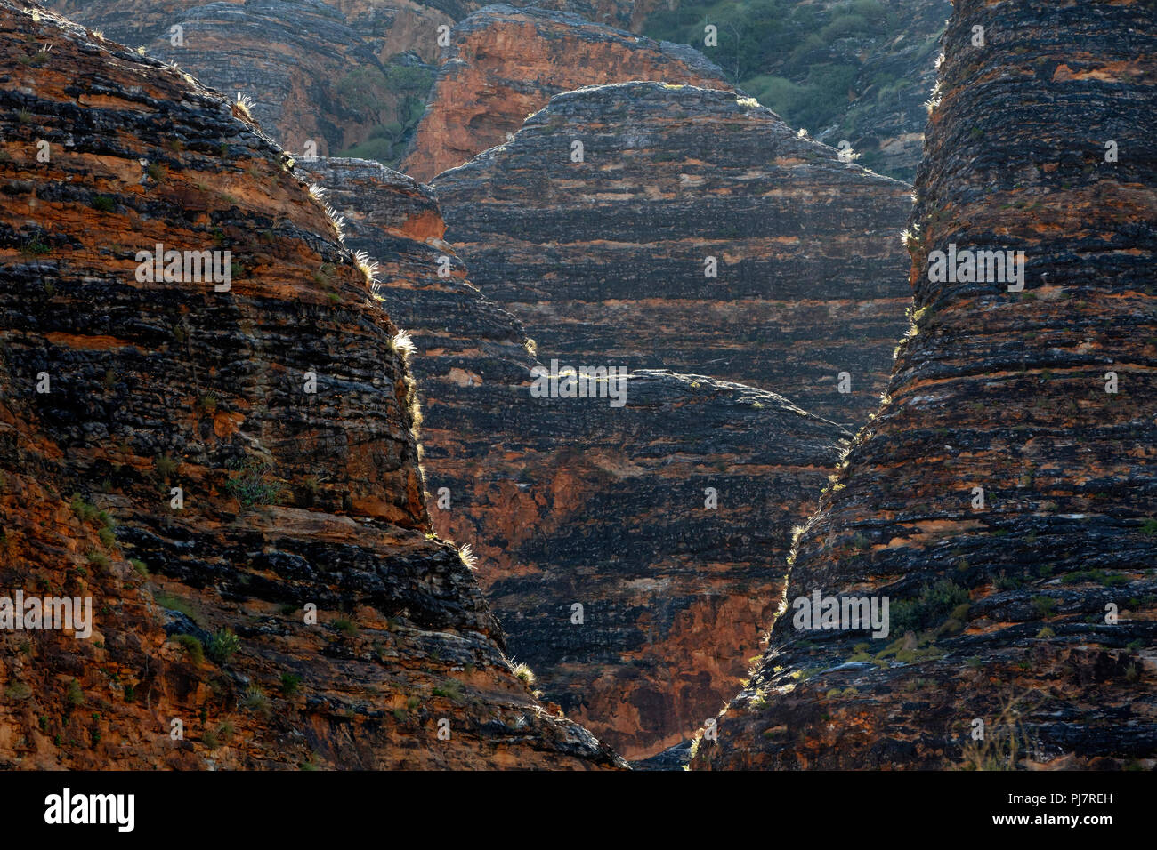 Sandstone rock formation, Purnululu National Park, Kimberley, Northwest ...