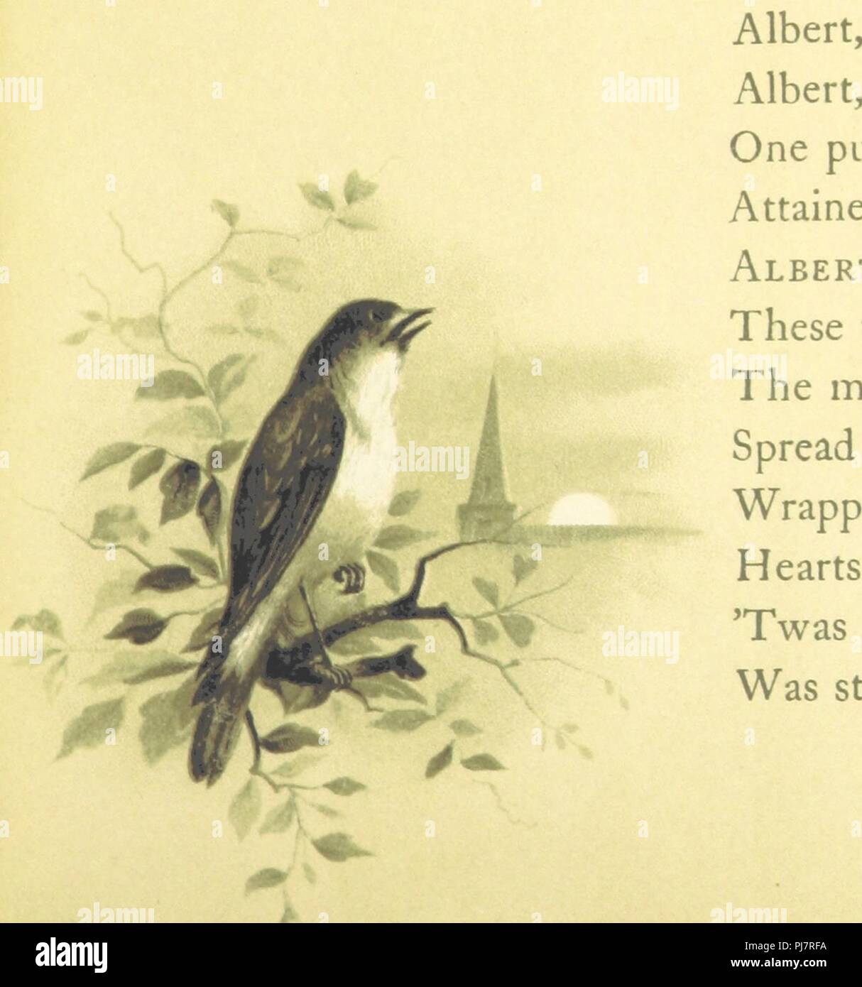 Image from page 25 of 'Jubilee Echoes. A poem in celebration of the ...